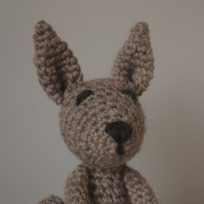 Kangaroo Crochet Pattern Instant, Downloadable Instructions to Make ...