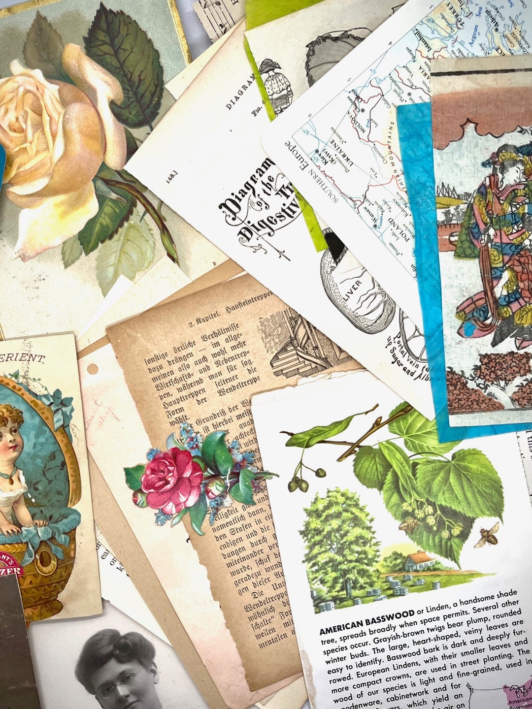 Ephemera Pack | 30+ Items | Variety of Ephemera | Junk Journal - Etsy