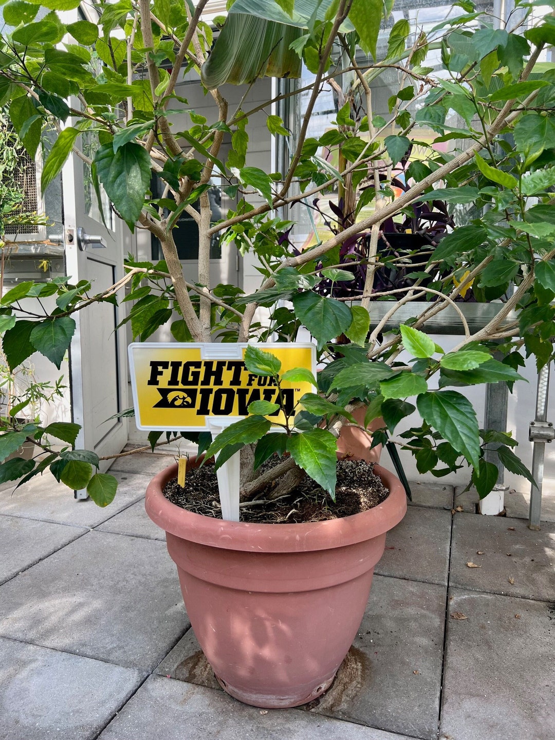 Iowa Fight for Iowa Yard/garden Sign - Etsy