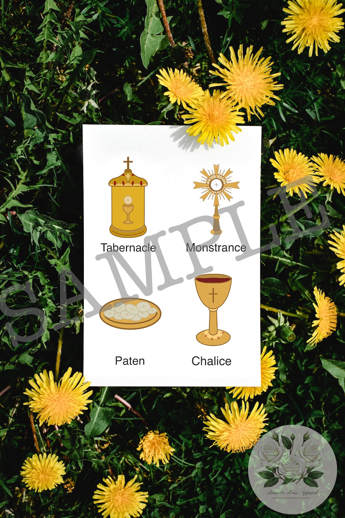Printable Children's Catholic Mass Cards Visual Learning - Set of 8 - Etsy