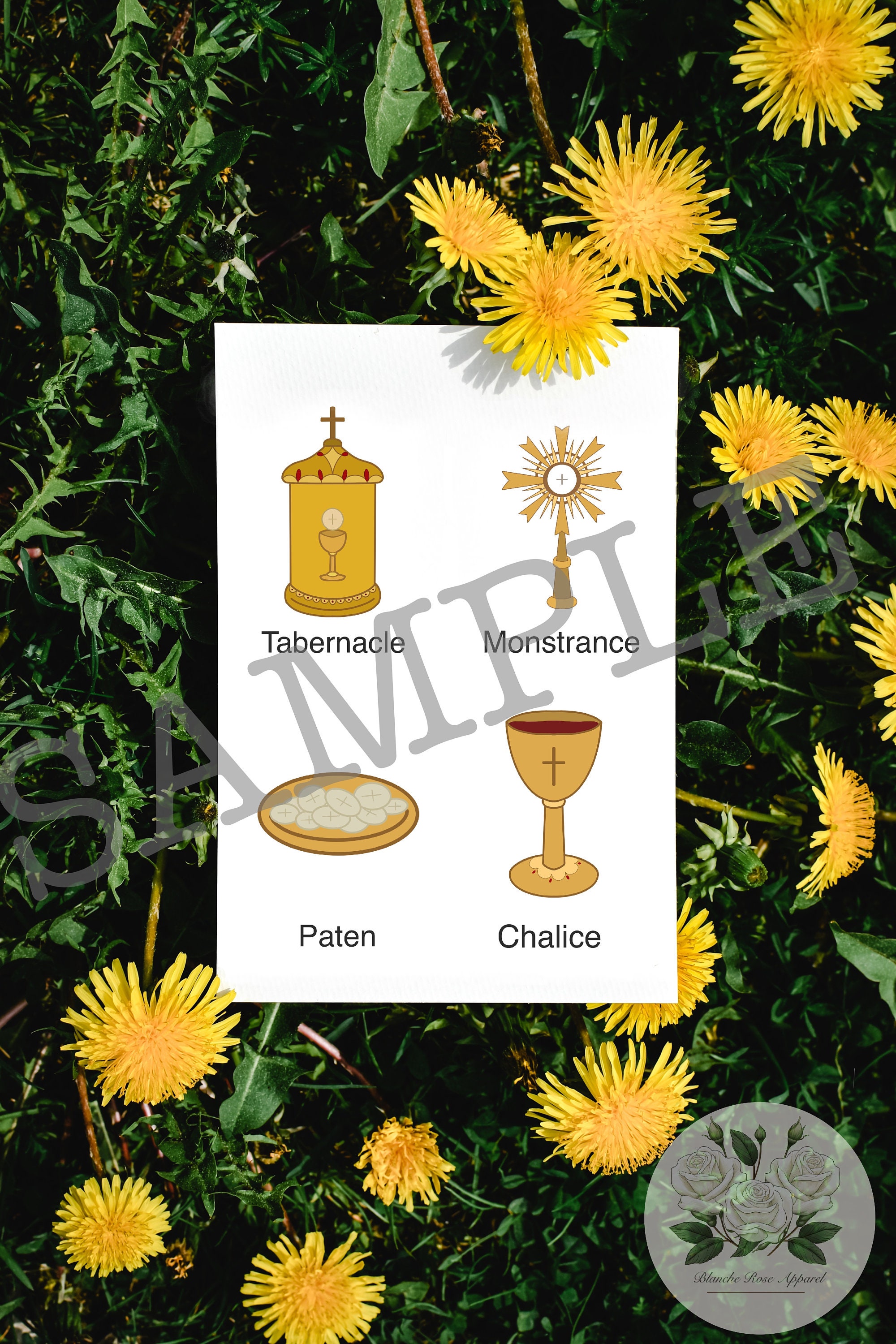 Printable Children's Catholic Mass Cards Visual Learning - Set of 8 - Etsy