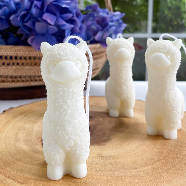 Llama Room Decor - Etsy