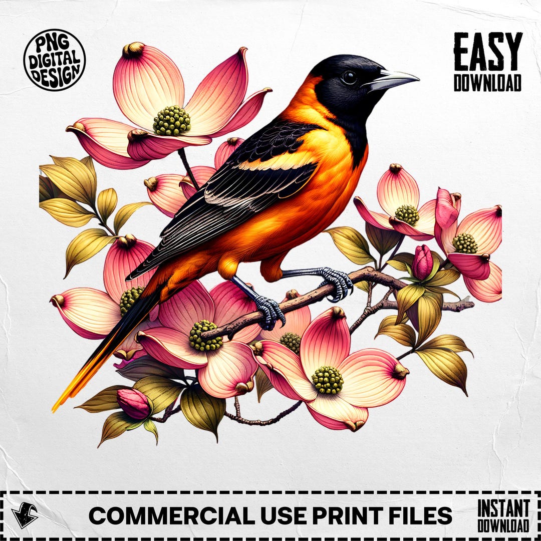 Baltimore Oriole Digital, Bird Art Printable, Floral Design Download ...