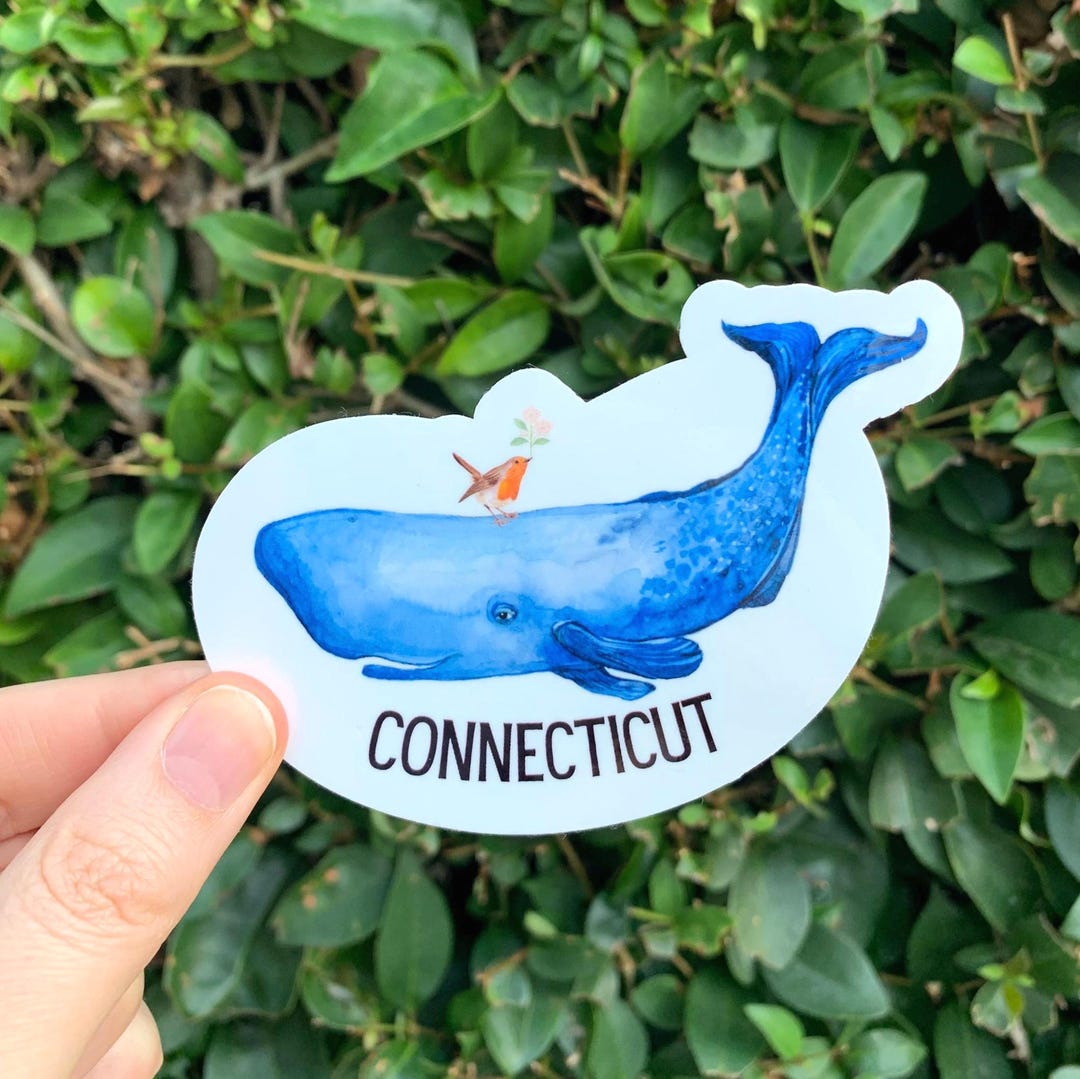 Connecticut Sticker, State Sticker, Connecticut Gift, Connecticut Whale ...