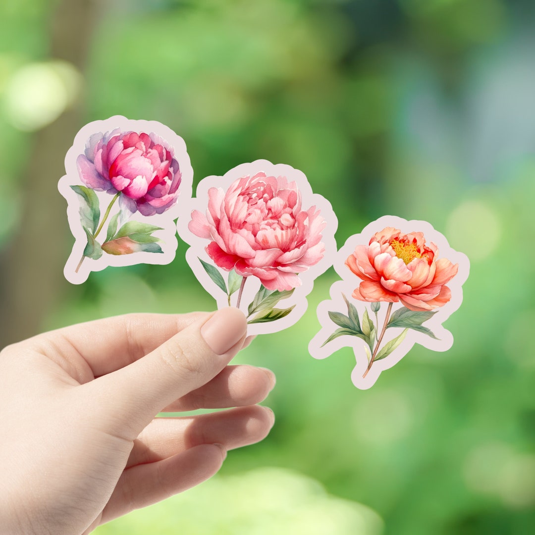 Peony Sticker, Botanical Stickers, Flower Sticker, Laptop Sticker ...