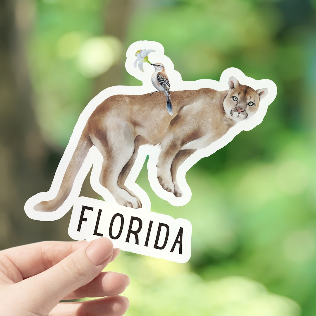 Florida Sticker, Florida Panther Sticker, Florida Gift, State Gift ...
