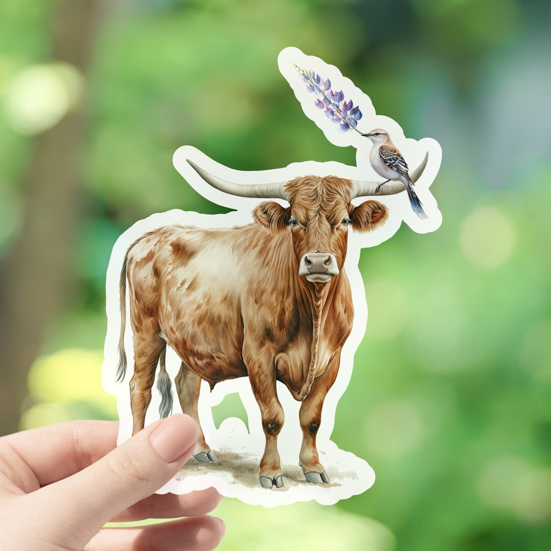 Texas Sticker, Longhorn Sticker, Texas Gift, State Gift, Laptop Sticker ...