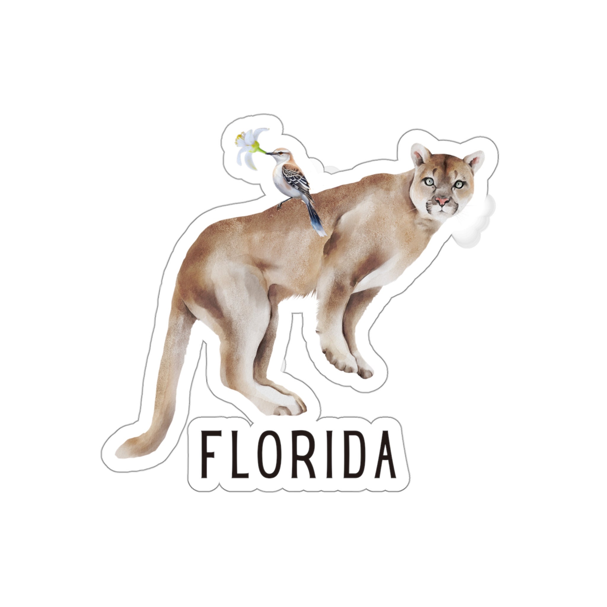 Florida Sticker, Florida Panther Sticker, Florida Gift, State Gift ...