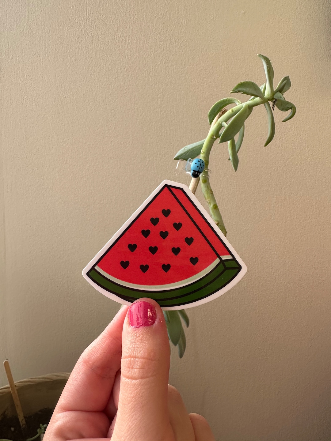 Heart Watermelon Sticker - Cute - Water Bottle Sticker - Laptop Sticker ...