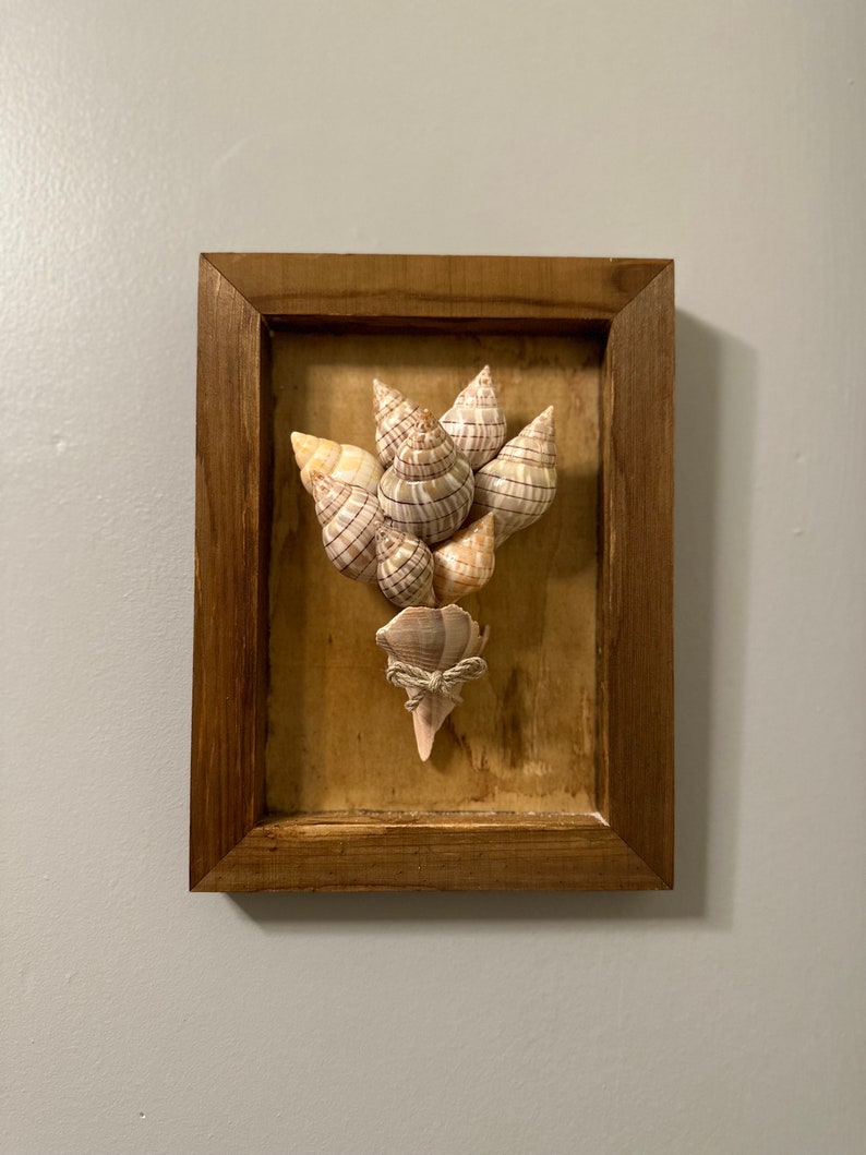 Banded Tulip Seashell Decor Beach Coastal Vibes Handmade - Etsy