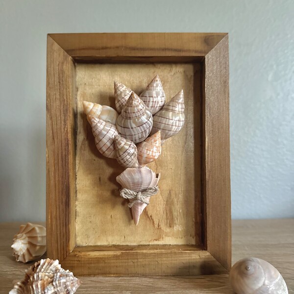 Seashell Decor - Etsy