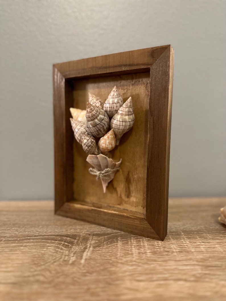 Banded Tulip Seashell Decor Beach Coastal Vibes Handmade One-of-a-kind ...