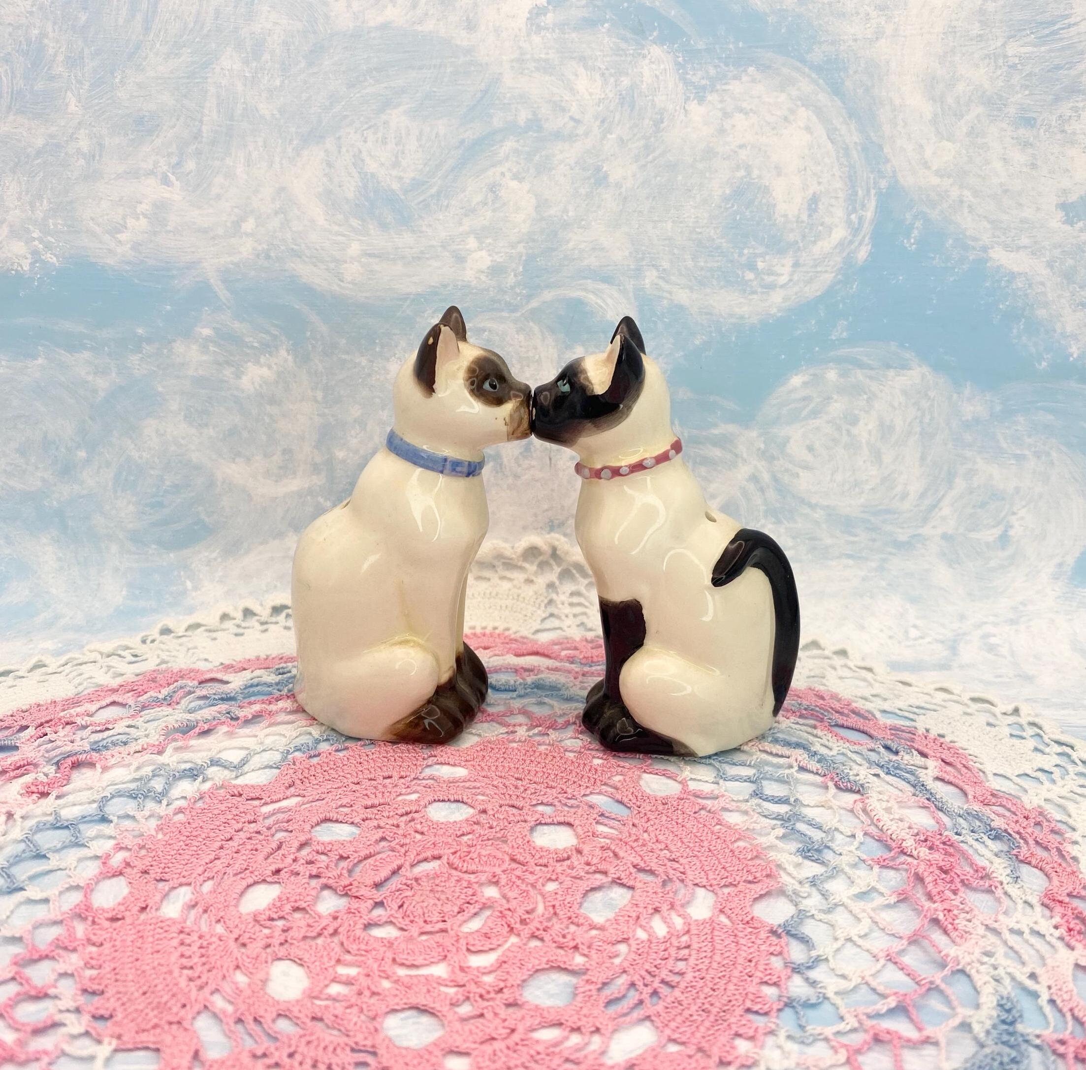 Magnetic salt and pepper shakers store