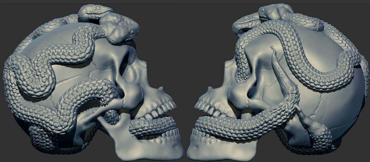 Skull With Snakes - 3D STL Digital - Etsy