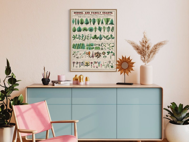 Vintage Botanical Chart Print, Antique School Poster - Etsy