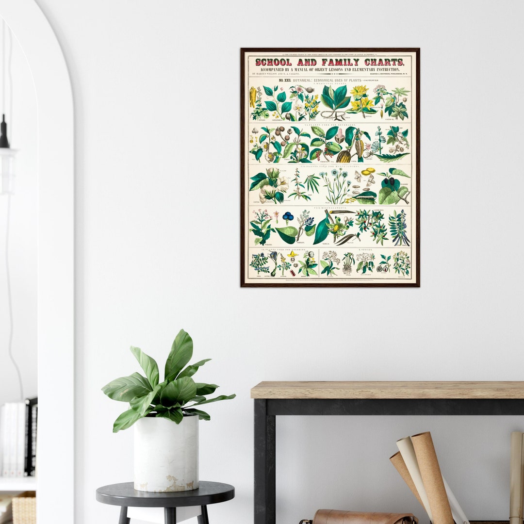 Botanical Print Botanical Vintage Chart Kitchen Art Print Botanical ...