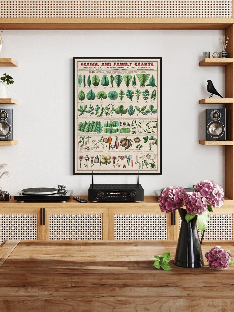 Botanical Print Botanical Vintage Chart Kitchen Art Print Botanical ...