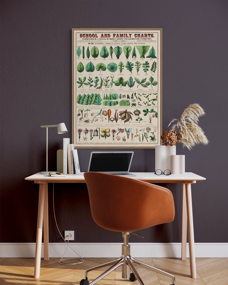 Vintage Botanical Chart Print, Antique School Poster - Etsy