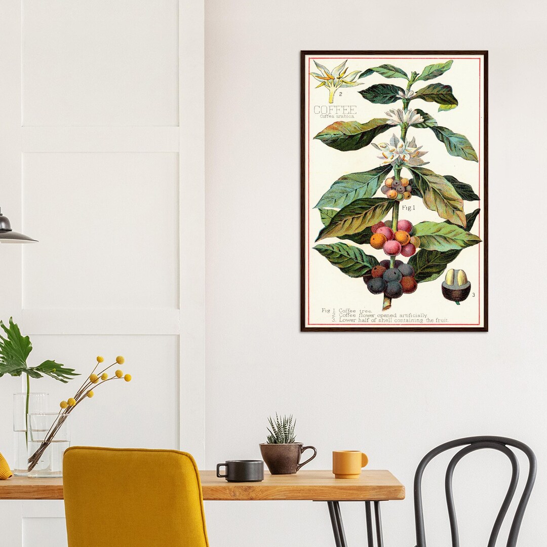 Vintage Botanical Coffee Plant Print, Kitchen Wall Art - Etsy