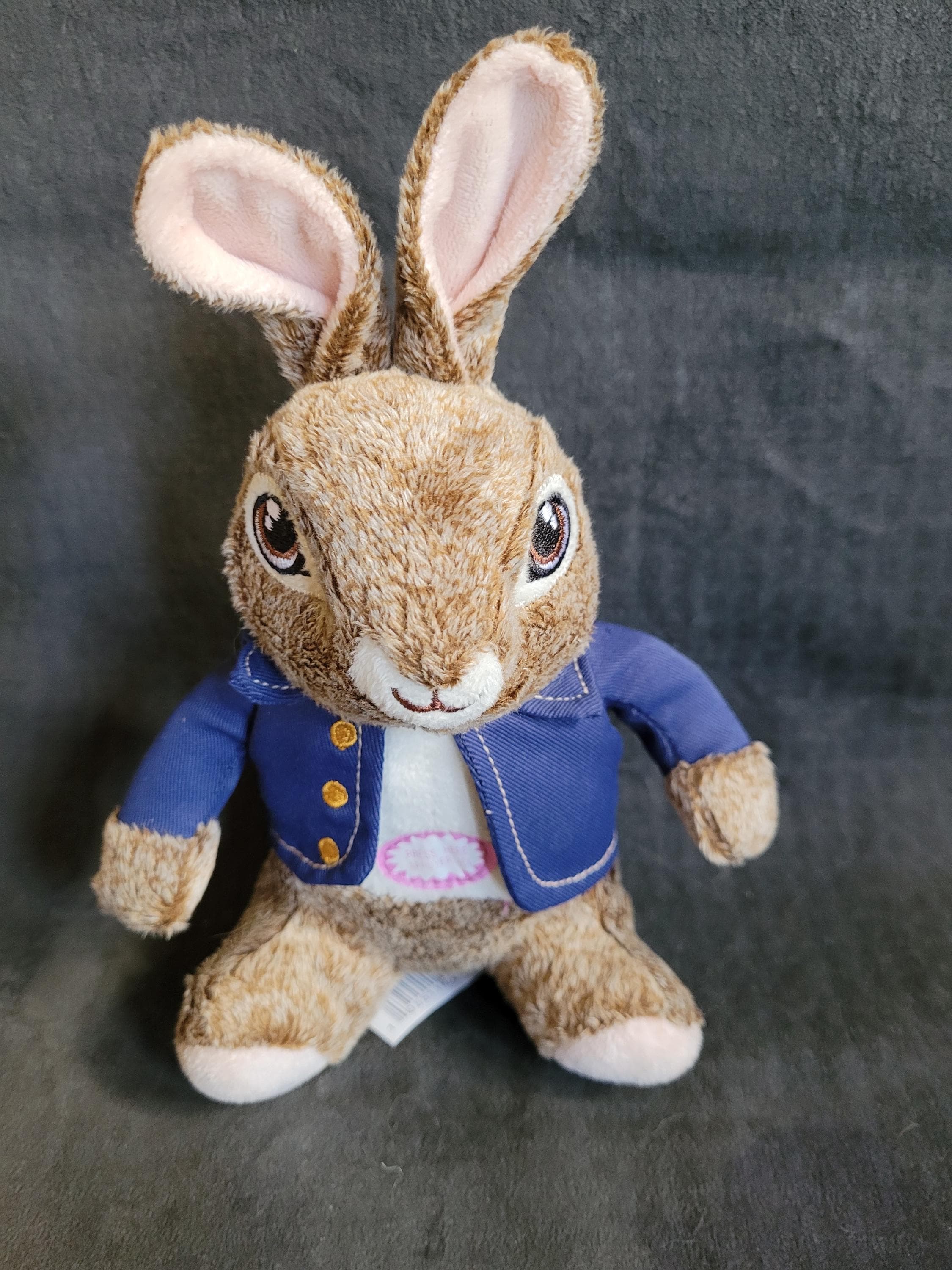 Peter Rabbit 9 Inch Small Stuffed Toy 2022 by Dan Dee - Etsy