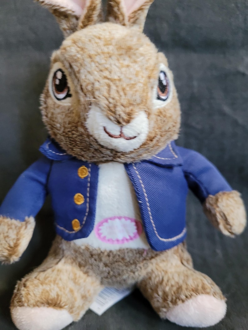 Peter Rabbit 9 Inch Small Stuffed Toy 2022 by Dan Dee - Etsy