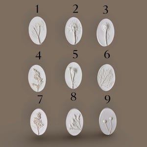 DIY Framing Floral Botanical Intaglios – Unique Plaster Flower Art for ...