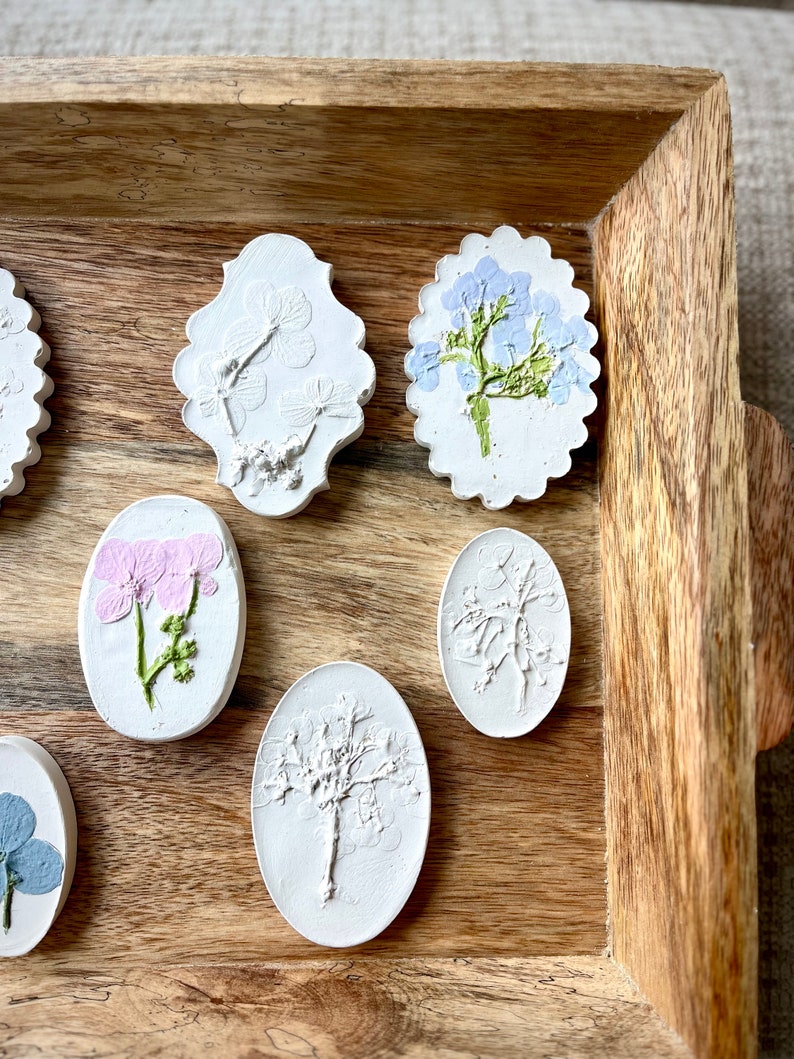 Framed Bas Relief Botanical Flower Intaglio Against a Powder Blue ...