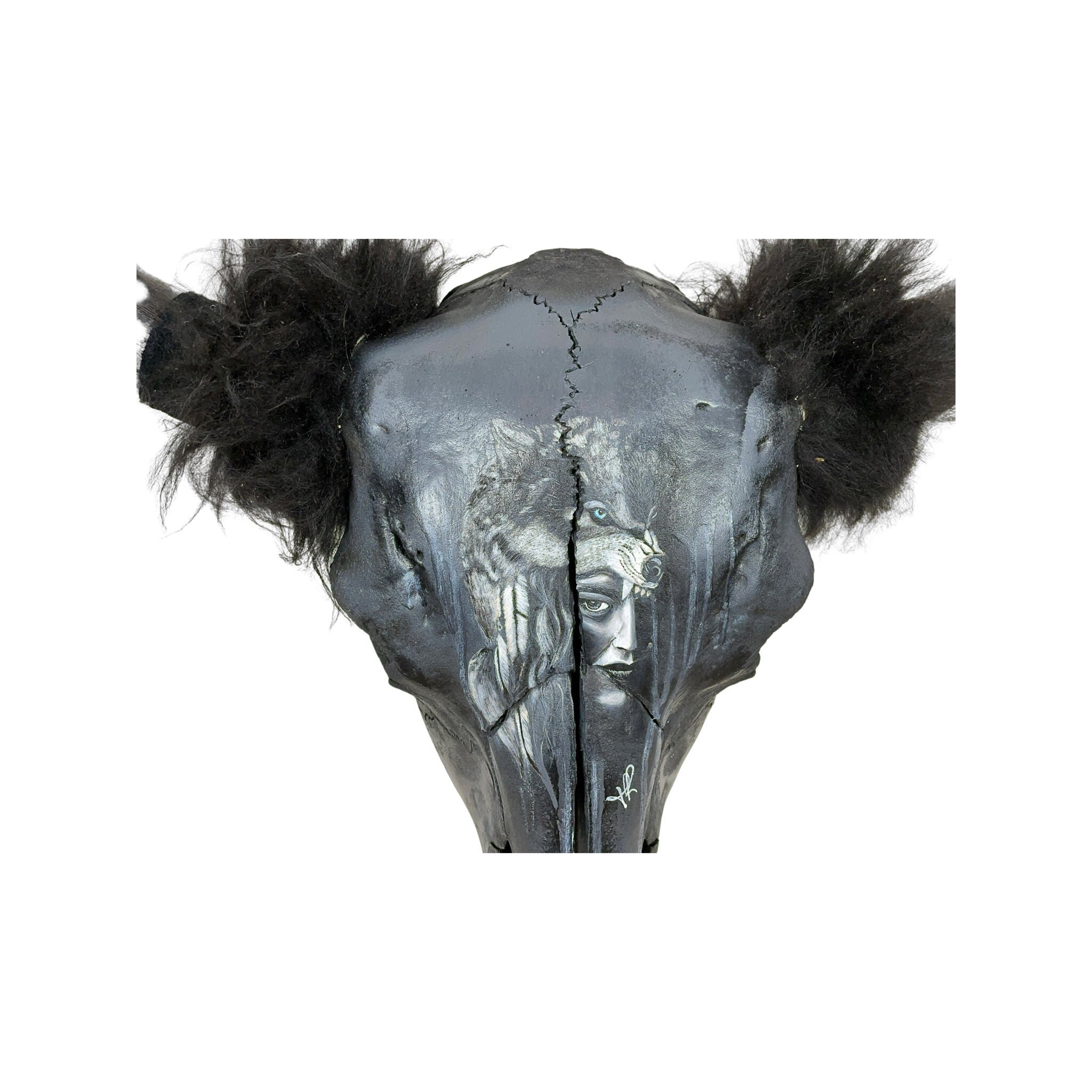 Longhorn Engraved Skull Taxidermy Wall Decor - Item #: 1020 - Etsy