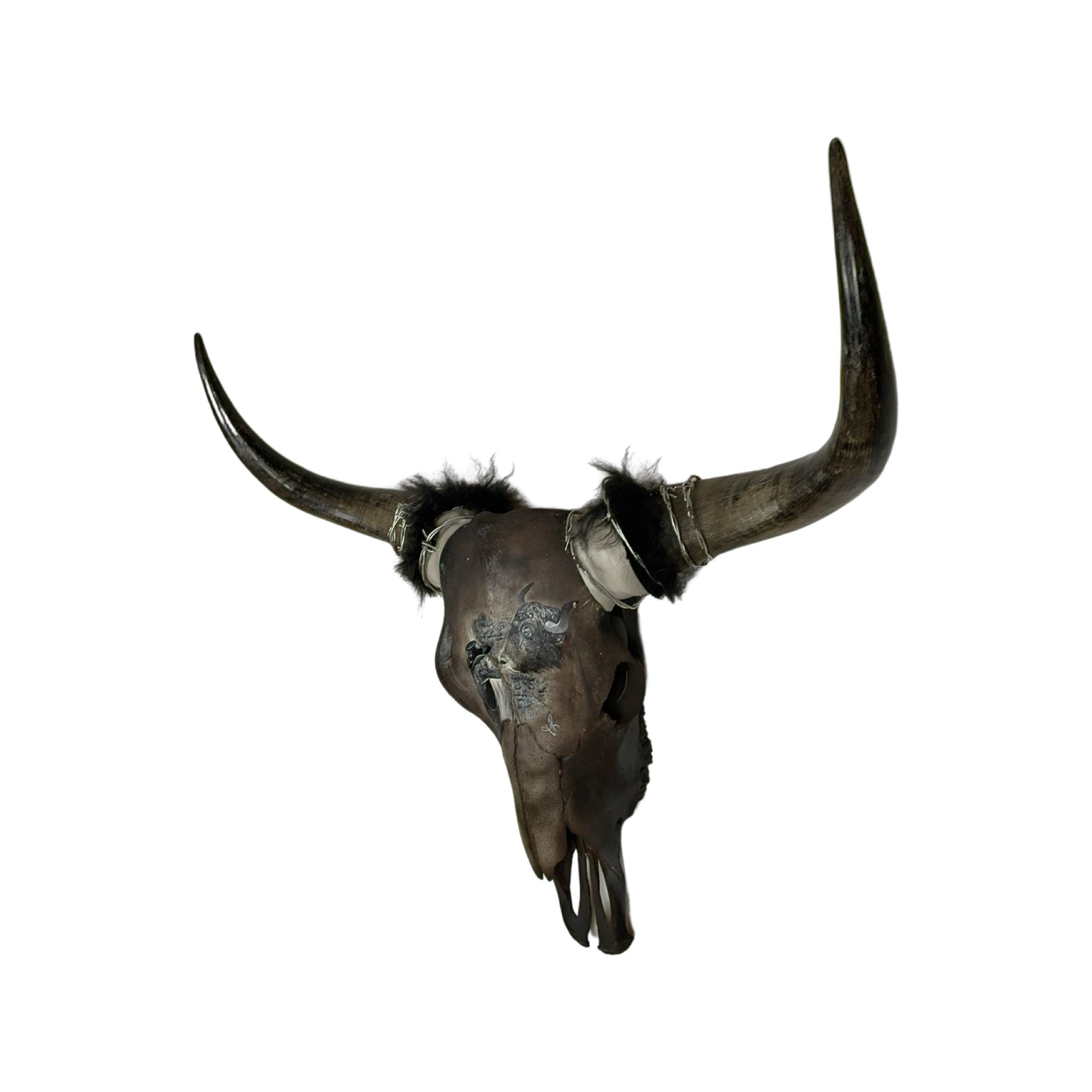 Yak Engraved Skull Taxidermy Wall Decor - Item #: 1065 - Etsy