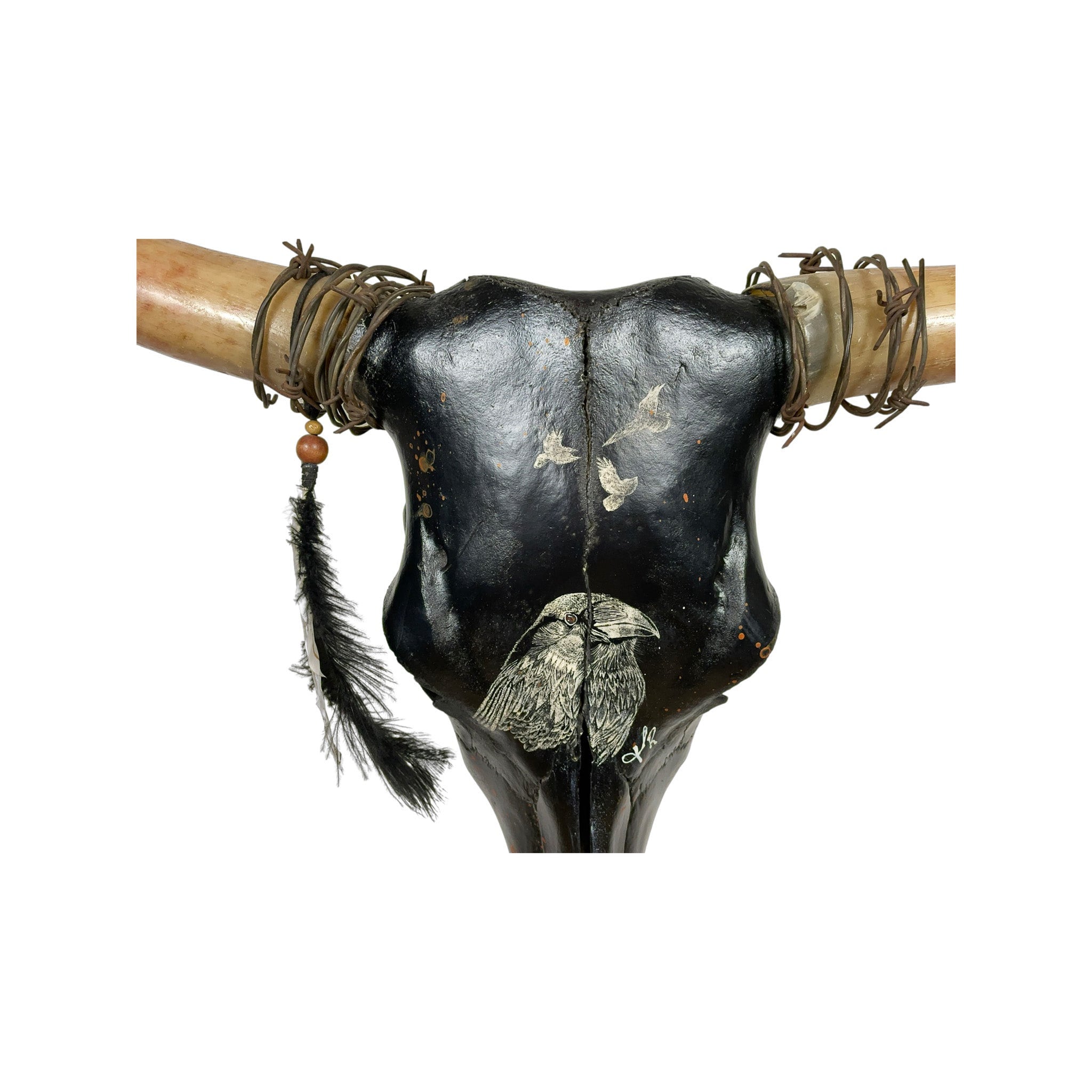 Longhorn Engraved Skull Taxidermy Wall Decor - Item #: 1115 - Etsy