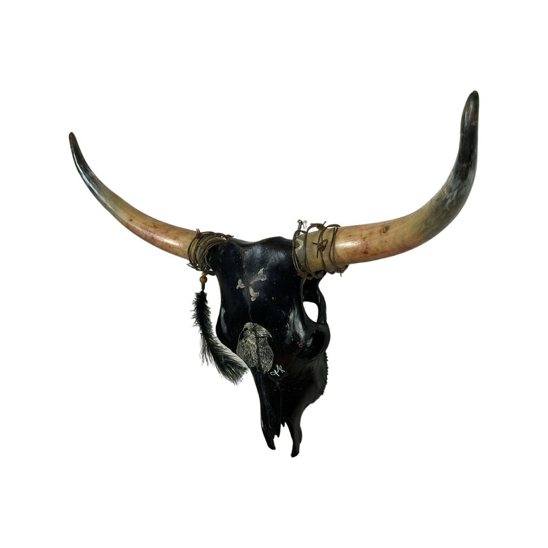 Longhorn Engraved Skull Taxidermy Wall Decor - Item #: 1115 - Etsy