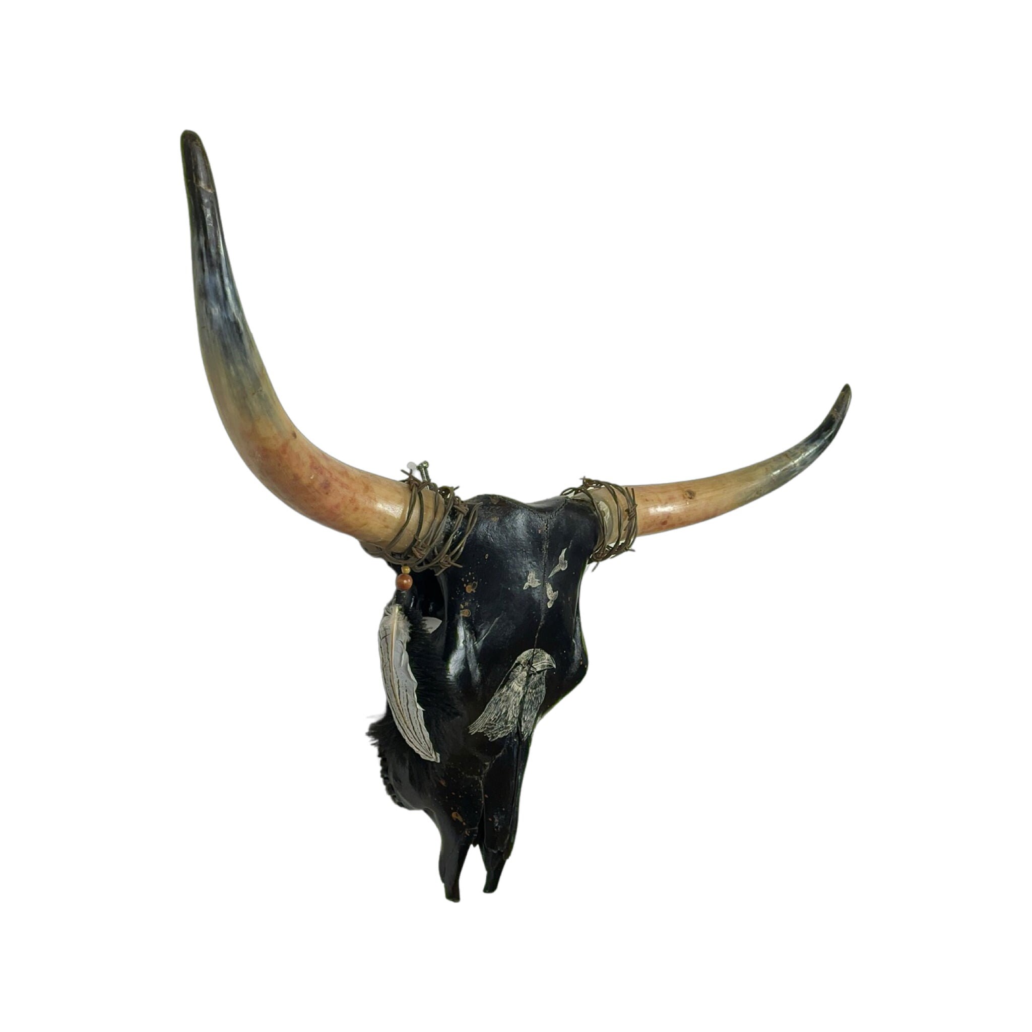 Longhorn Engraved Skull Taxidermy Wall Decor - Item #: 1115 - Etsy
