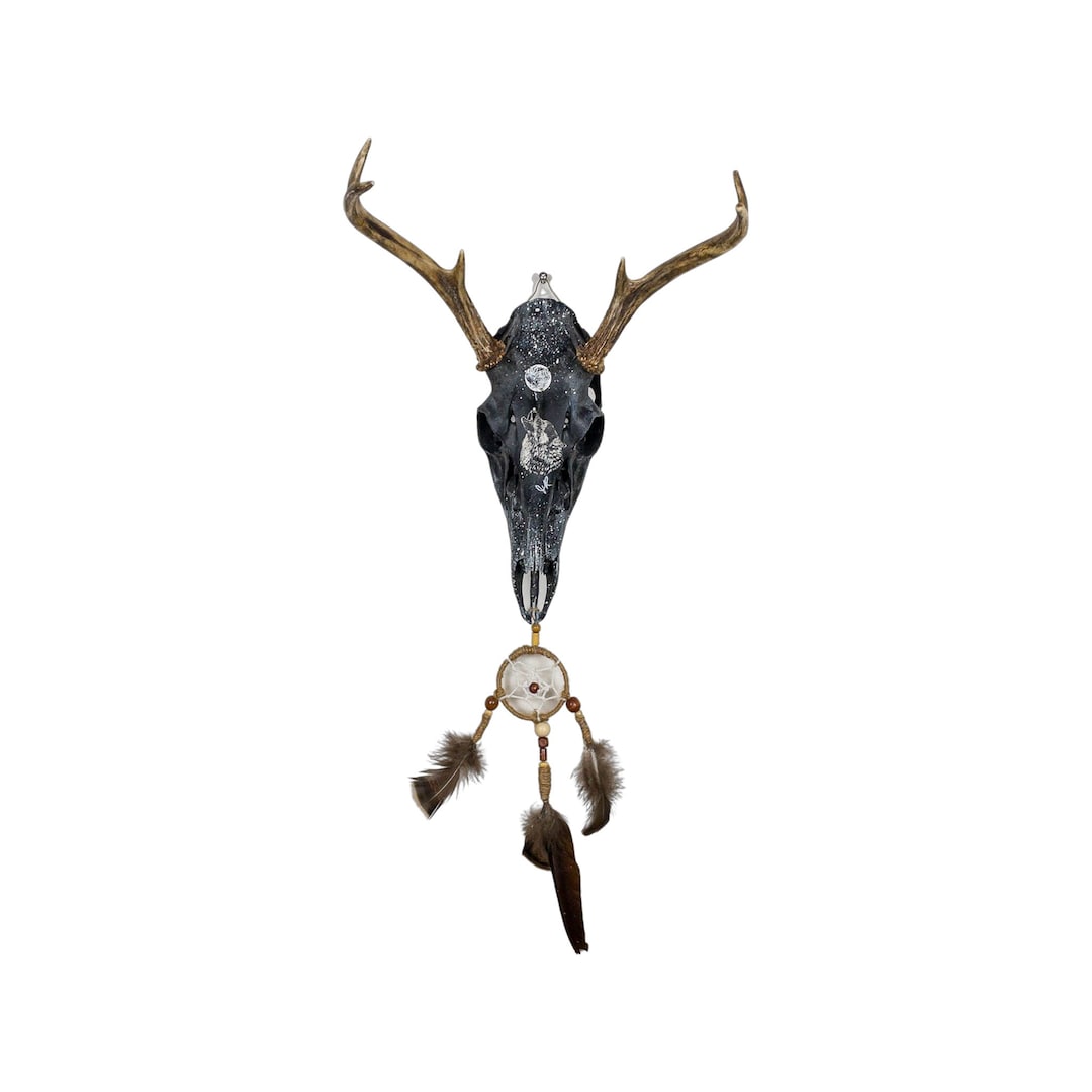 White-tailed Deer Engraved Skull Taxidermy Wall Decor - Item #: 1058 - Etsy