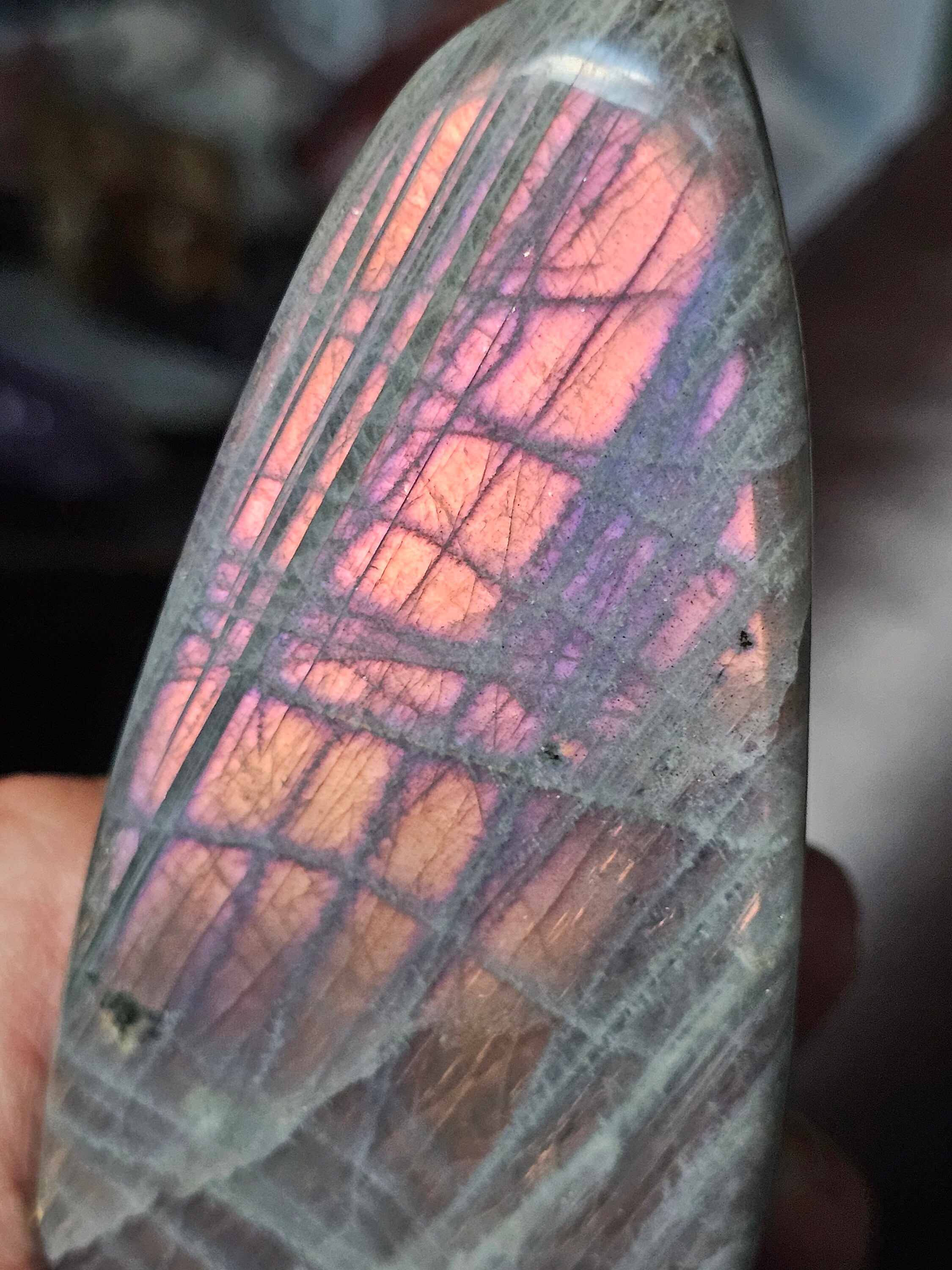 Labradorite Freeform, Spectrolite, Flashy/strong Flash. Sunset Flash ...