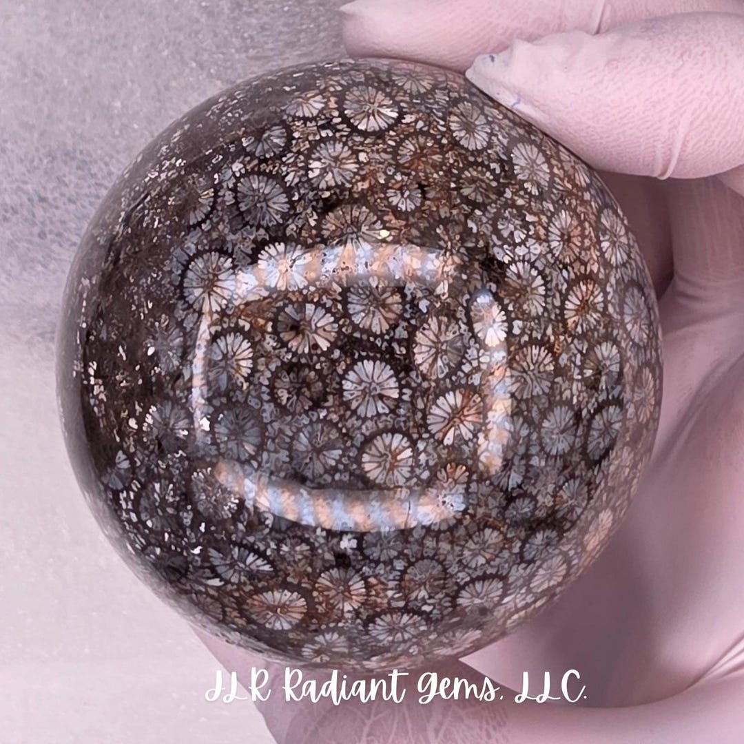 Black Fossil Coral Jasper Sphere, Large - Etsy