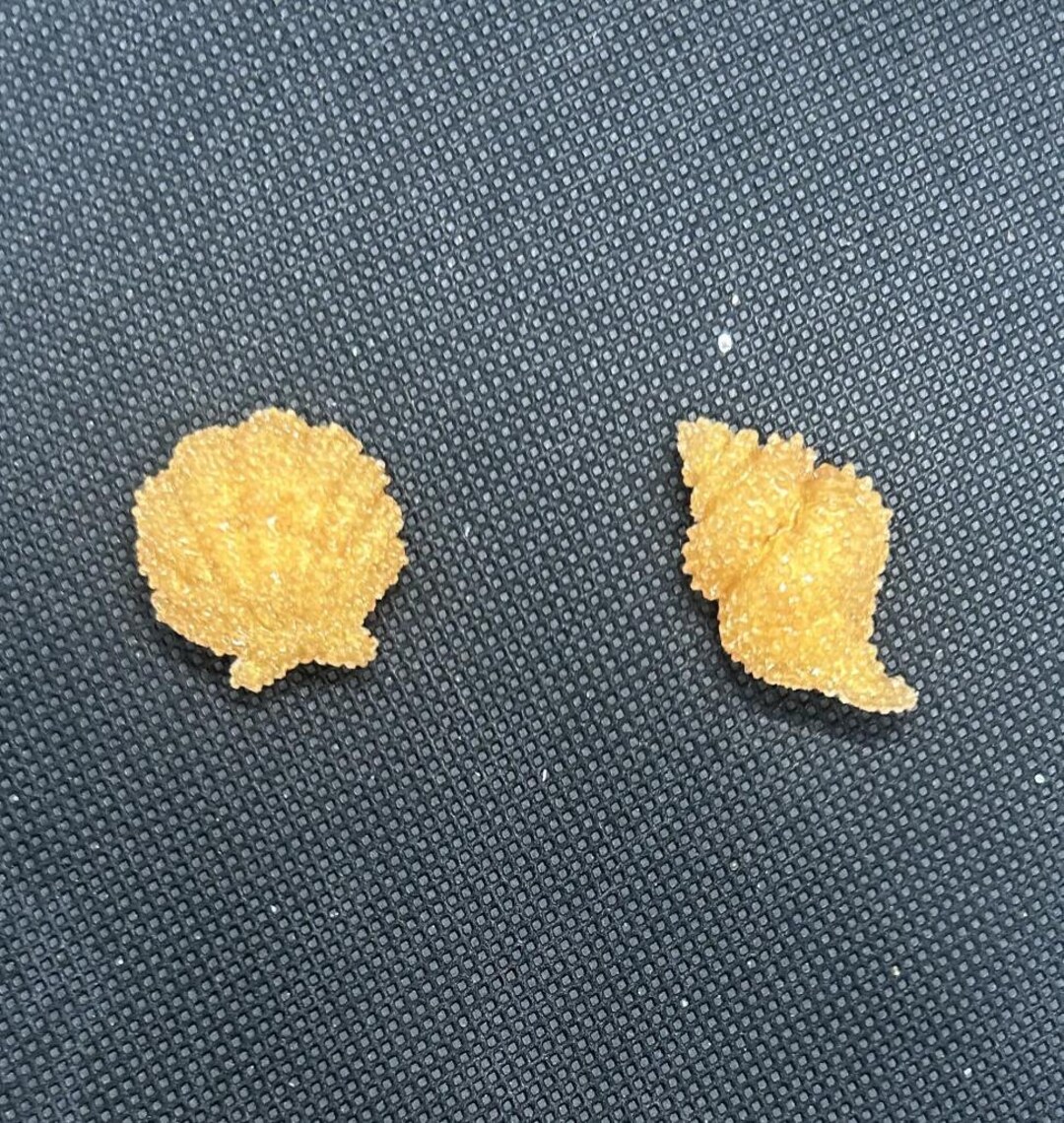 Cute Shells handmade Resin Decor, Beach House Decorations, Shell ...