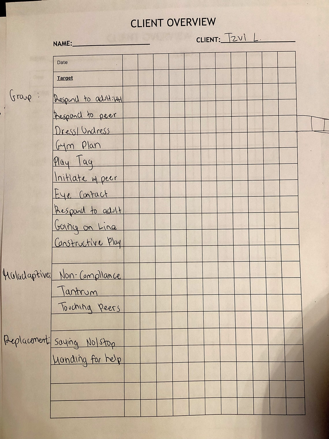 Client Overview Therapy Data Sheet of Targets, Goals, and Programs, ABA ...