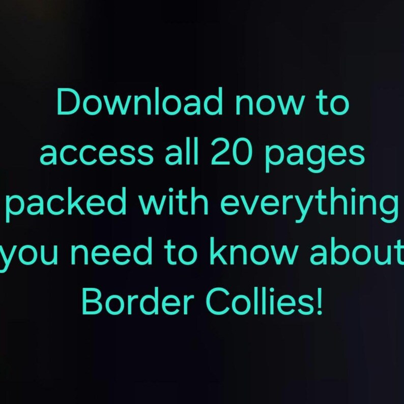 The Ultimate Border Collie Guide Care, Training, Health & Behavior for ...