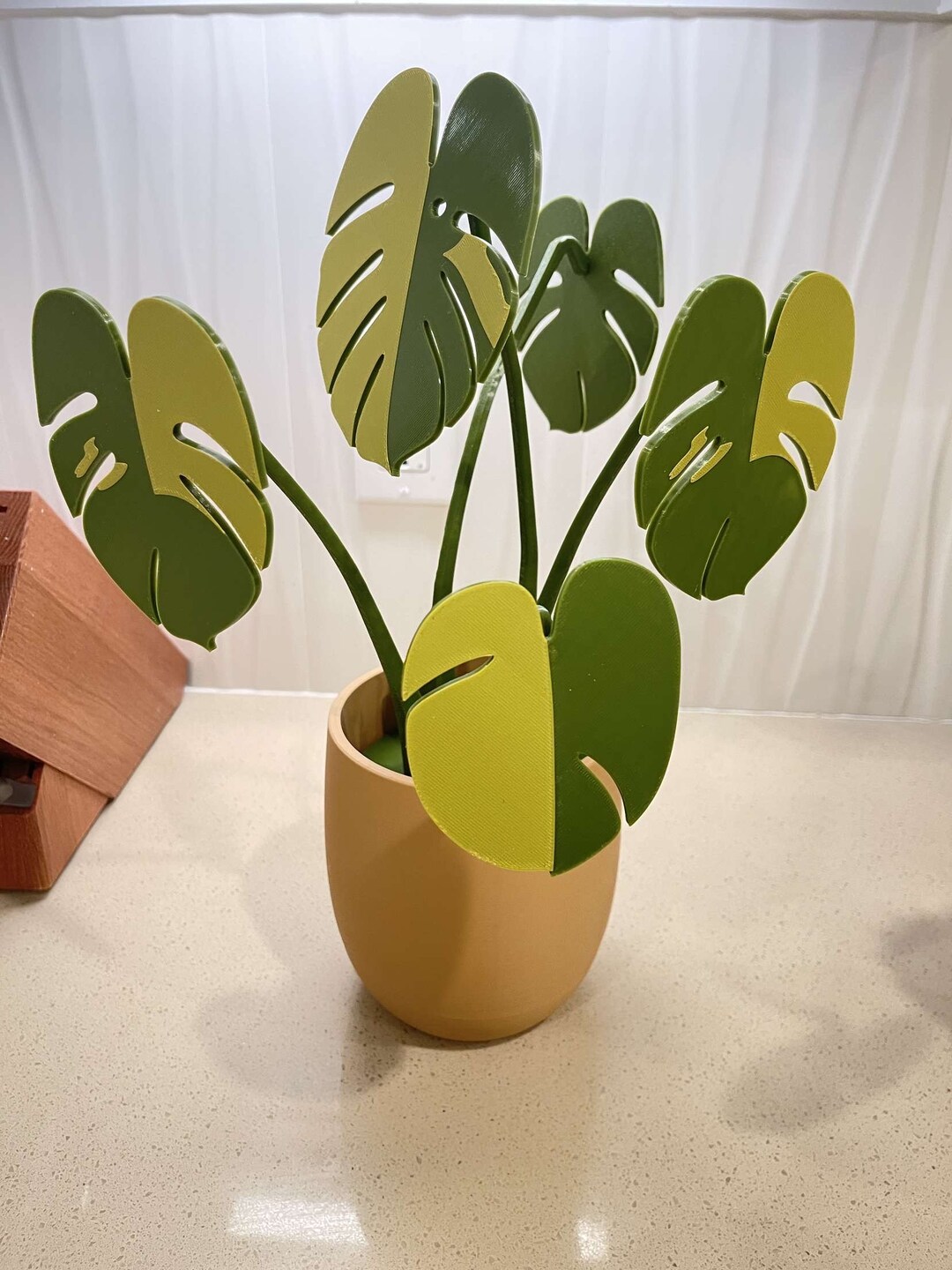 Monstera Coaster Set - Etsy