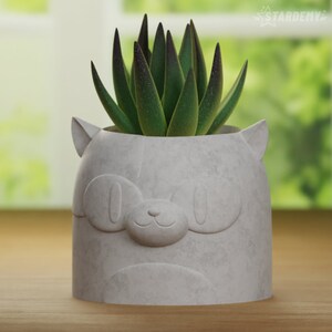 DIY Fionna and Cake Planters/pin Holders - Etsy