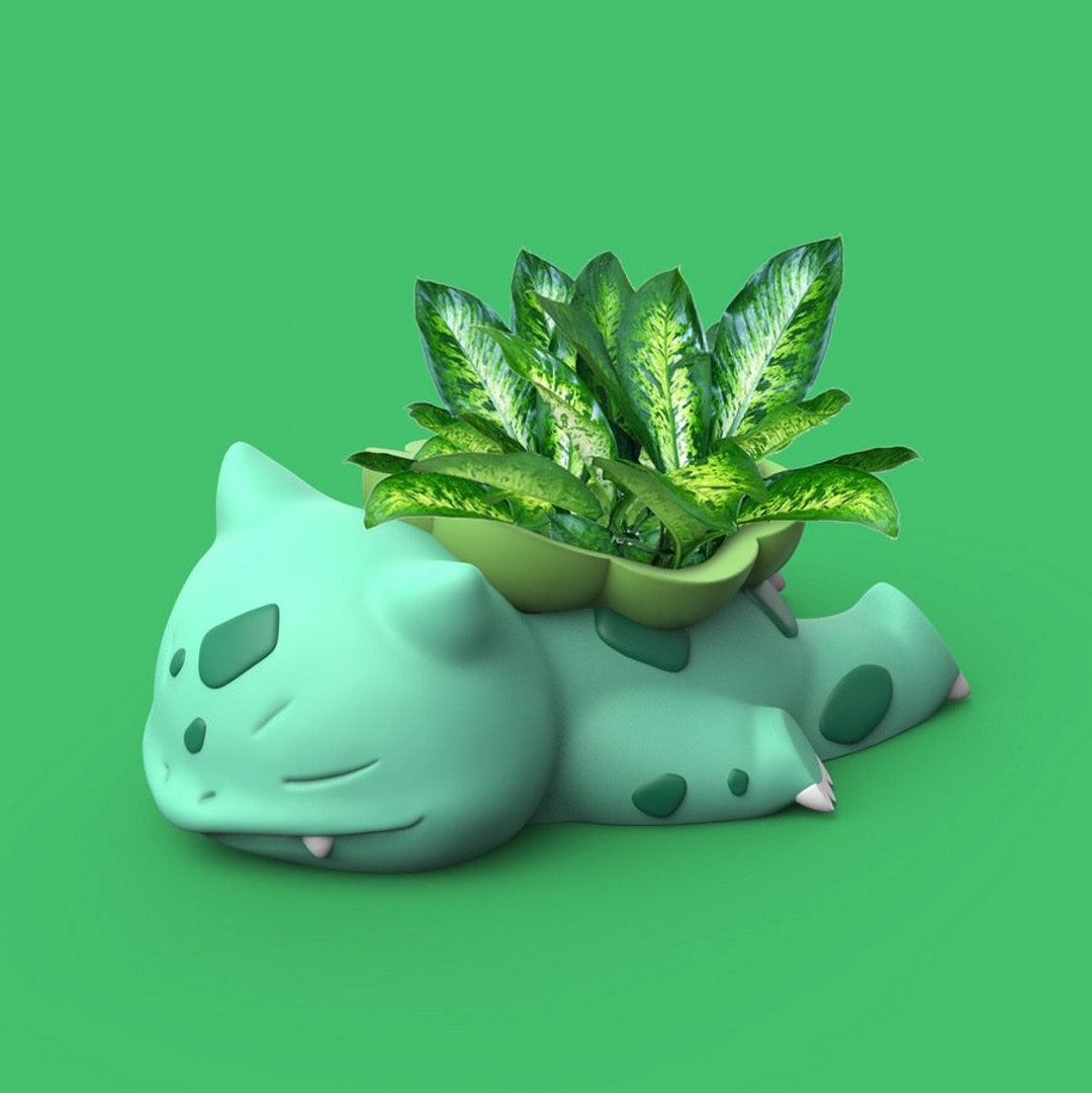 Sleeping Bulbasaur Planter DIY Paint Project - Etsy