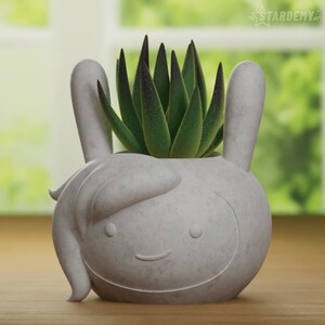 DIY Fionna and Cake Planters/pin Holders - Etsy