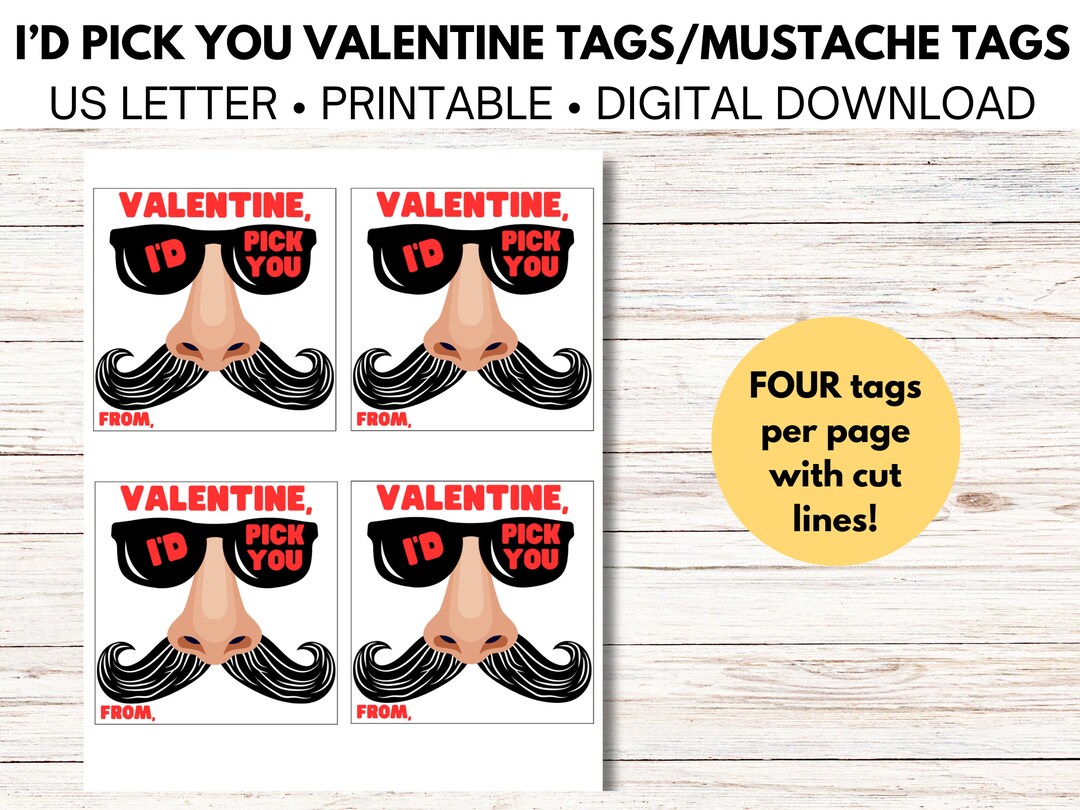 I'd Pick You Valentine Tags, Classroom Valentine Tags, Valentine Treat ...