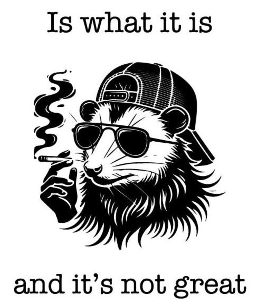 Is What It is and It’s Not Great Funny Possum PNG SVG Design Black and ...