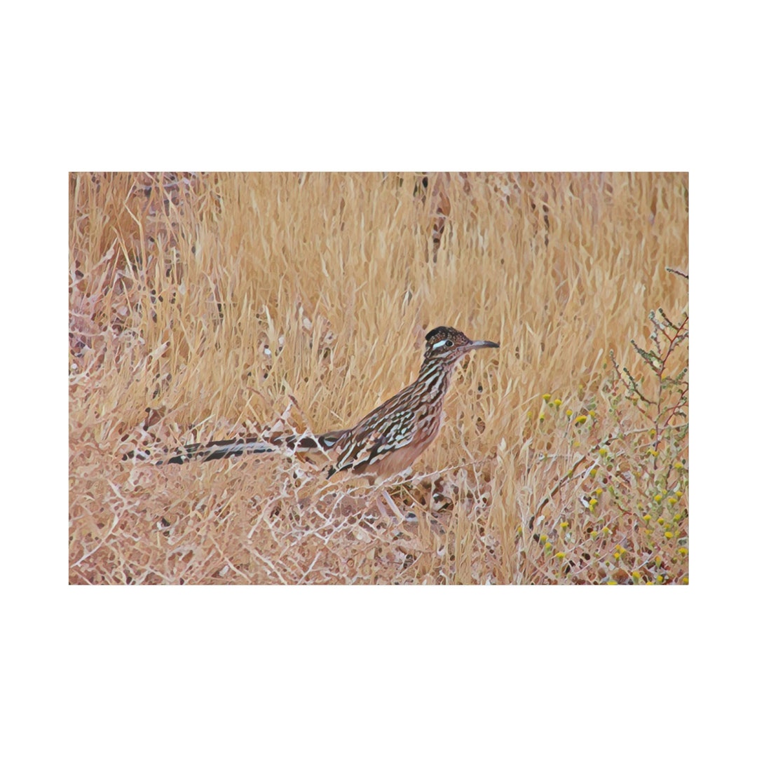 Wall Art, Roadrunner, Bird Art Print, Desert, Birders, Nature, Widllife ...