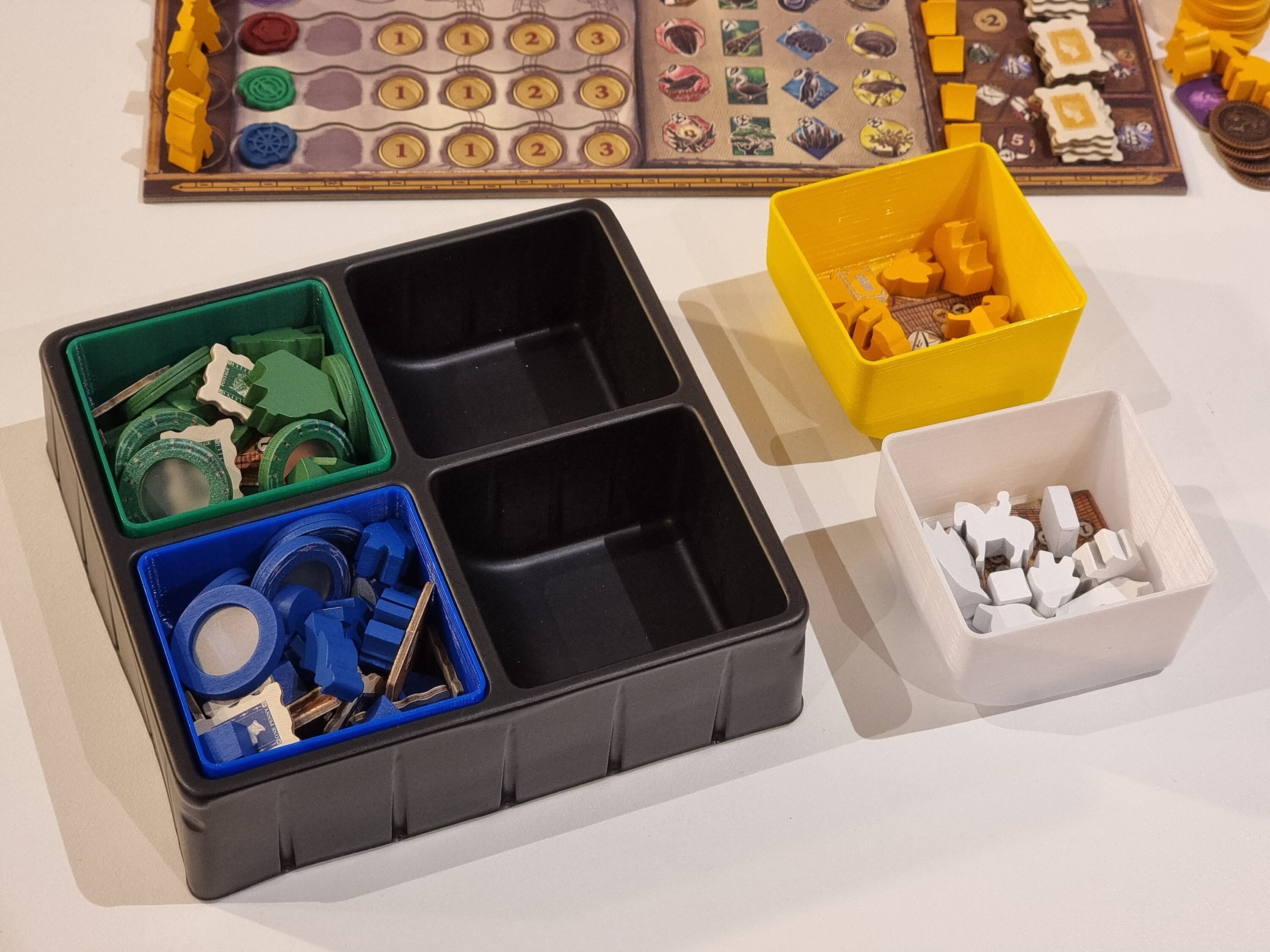 Darwin's Journey Player Trays Insert Organizer - Etsy