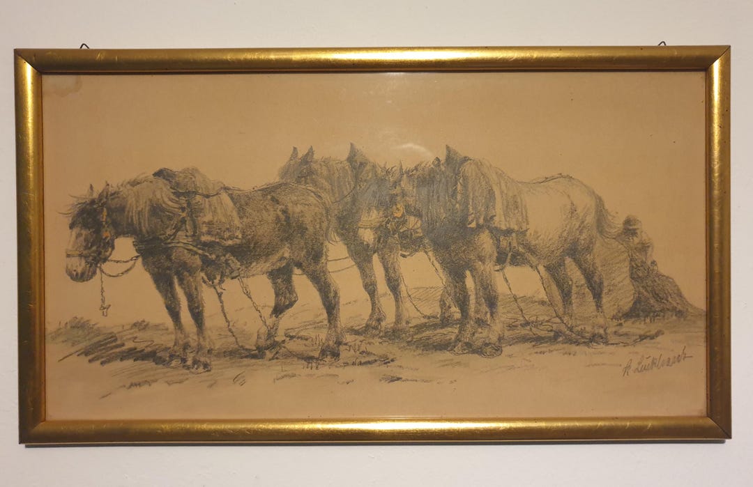 Vintage Draft Horse Drawing – German Pencil Artwork, Framed Farmhouse ...