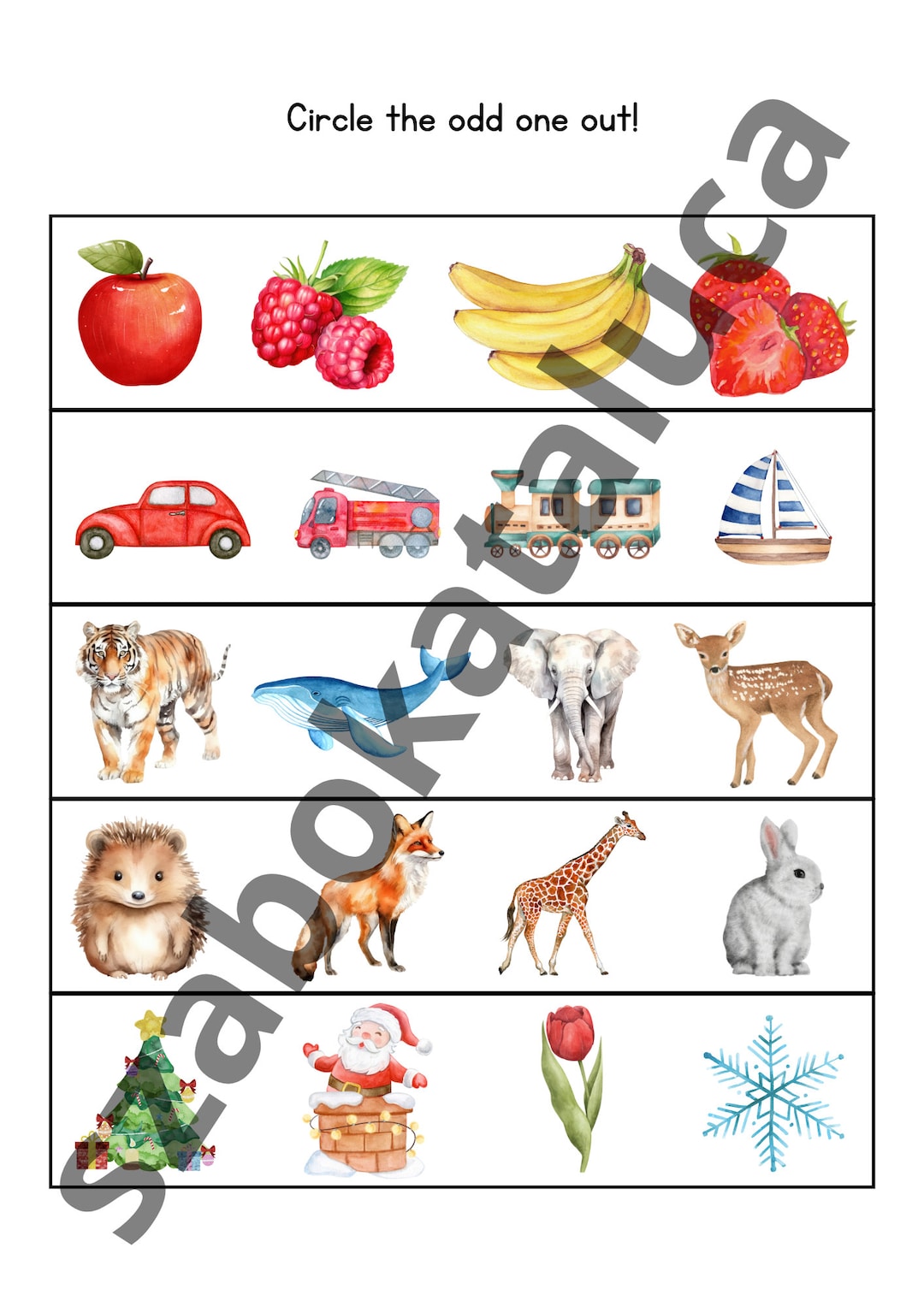 Circle the Odd One! Worksheet / Teacher Worksheet / Ready to Print ...