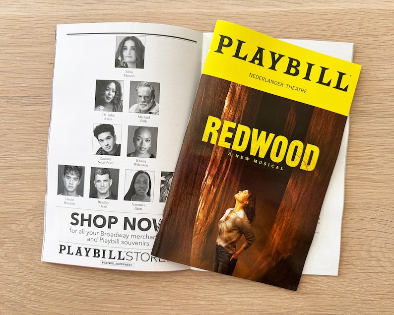 Idina Menzel REDWOOD Musical, Broadway Playbill Theater Program Booklet ...