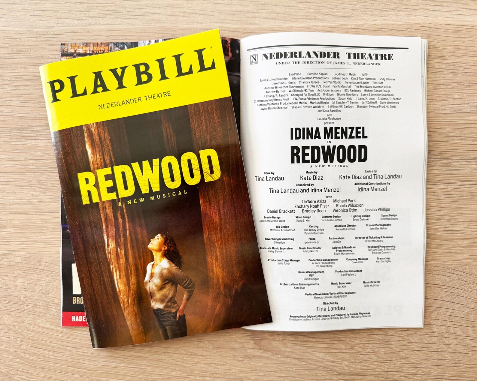 Idina Menzel REDWOOD Musical, Broadway Playbill Theater Program Booklet ...